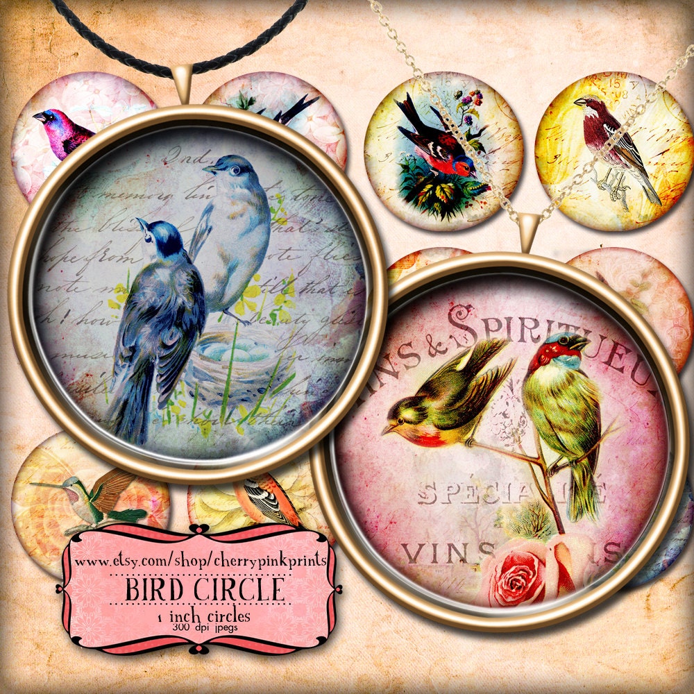 VINTAGE BIRDS 1 inch circle digital downloads collage sheet | Etsy