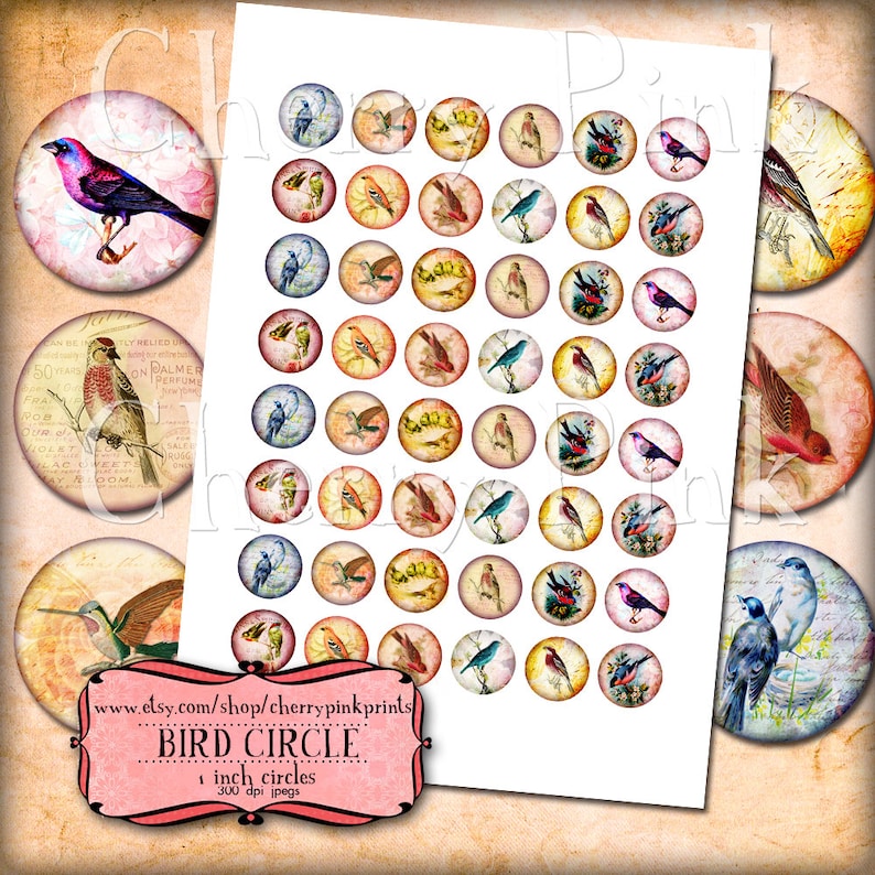 VINTAGE BIRDS 1 Inch Circle Digital Downloads Collage Sheet - Etsy