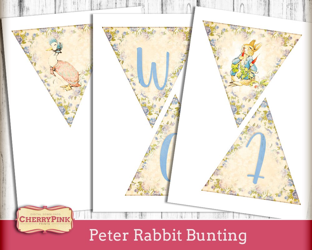 Peter Rabbit TWO blue birthday bunting and flags party | Etsy