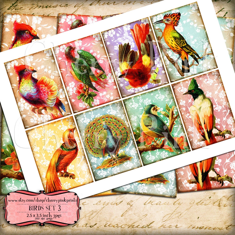 BRIGHT BIRD Digital Collage Sheet Printable Download Gift Tags Vintage ...
