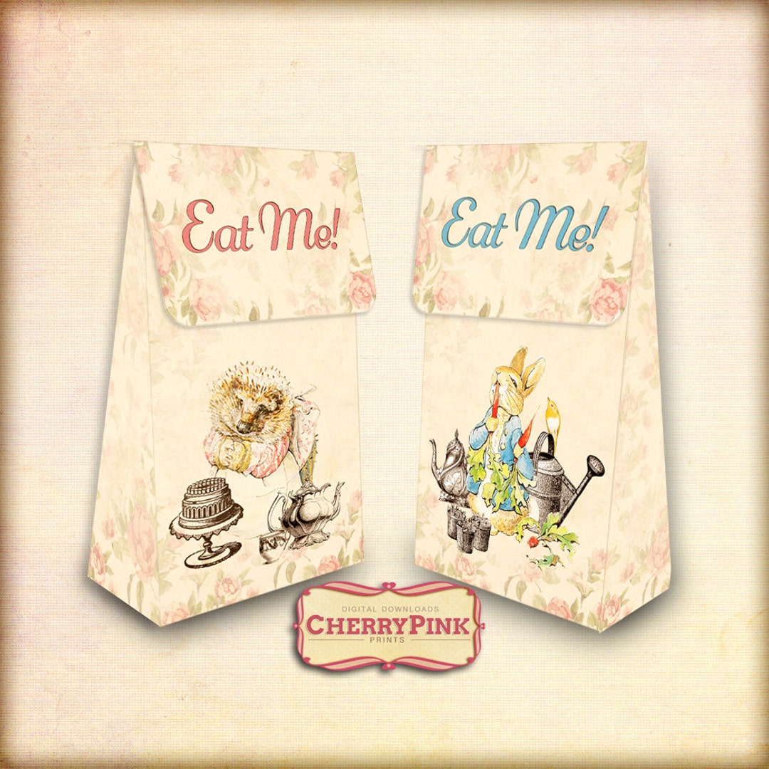 Peter Rabbit Favor Bag, Peter Rabbit Party Decoration, Diy Favor Bag ...