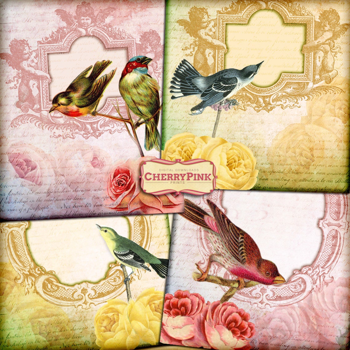 BIRDS COLLAGE SHEET, Vintage Bird Images, Jpg Premade Page, Bird ...