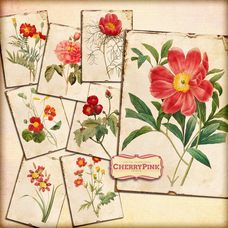RED FLOWER Collage Sheet Jpg Premade Page 3.5 X 5 Inch | Etsy