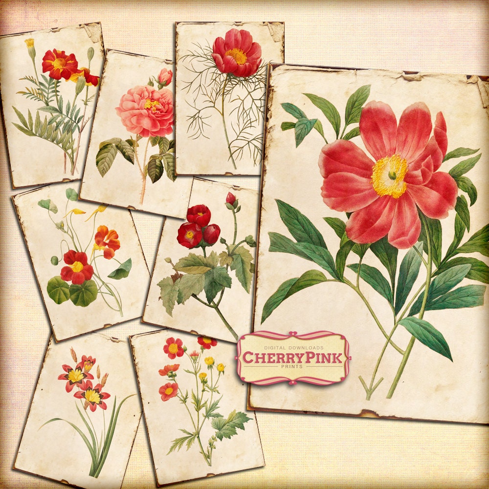 RED FLOWER Collage Sheet Jpg Premade Page 3.5 X 5 Inch | Etsy