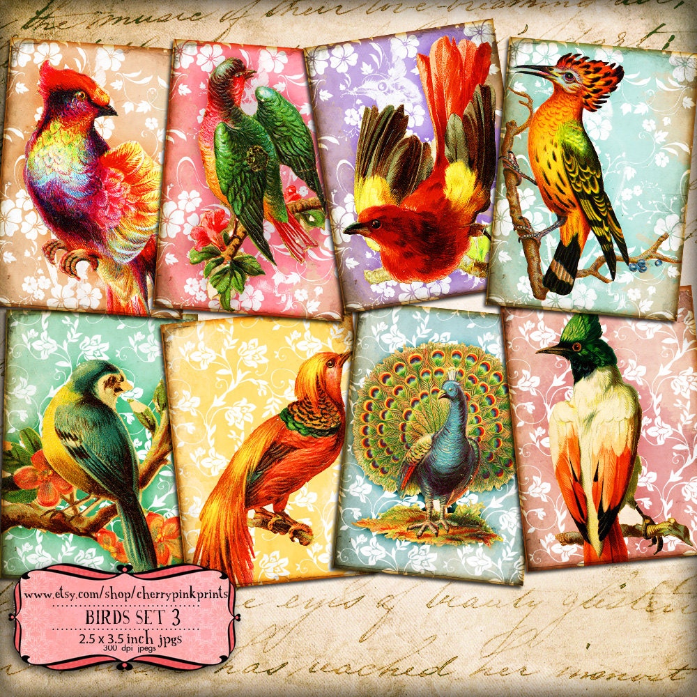 BRIGHT BIRD Digital Collage Sheet Printable Download Gift Tags Vintage ...