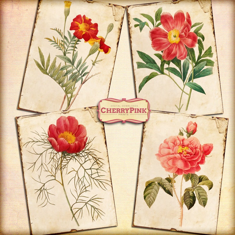 RED FLOWER Collage Sheet Jpg Premade Page 3.5 X 5 Inch | Etsy