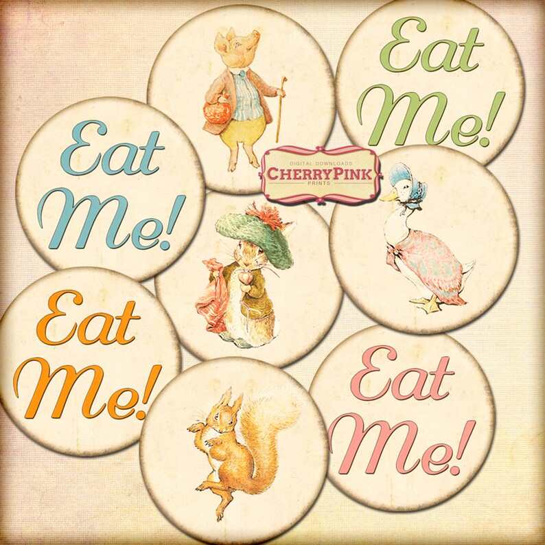 Peter Rabbit decorations cake topper party printable | Etsy