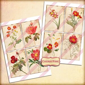RED FLOWER Collage Sheet, Jpg Premade Page, 3.5 X 5 Inch Digital ...