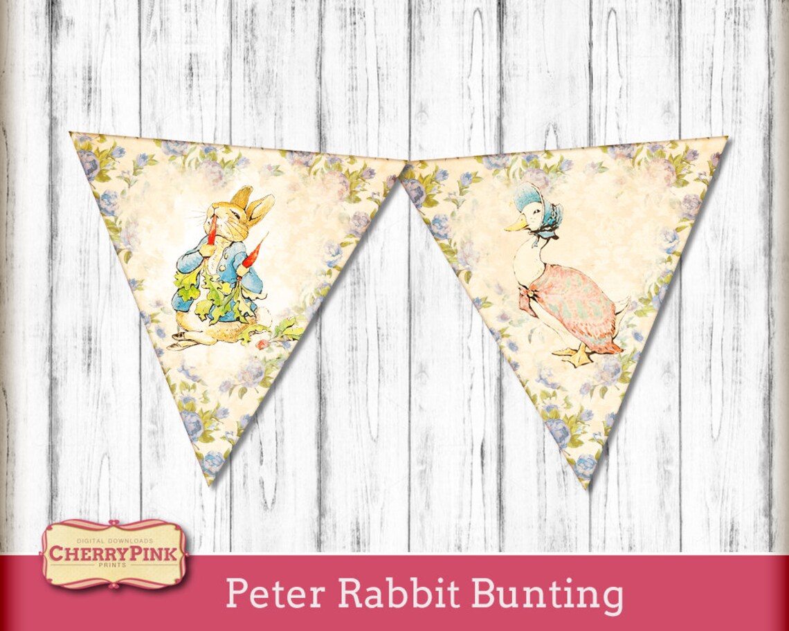 Peter Rabbit birthday party bunting second birthday party | Etsy