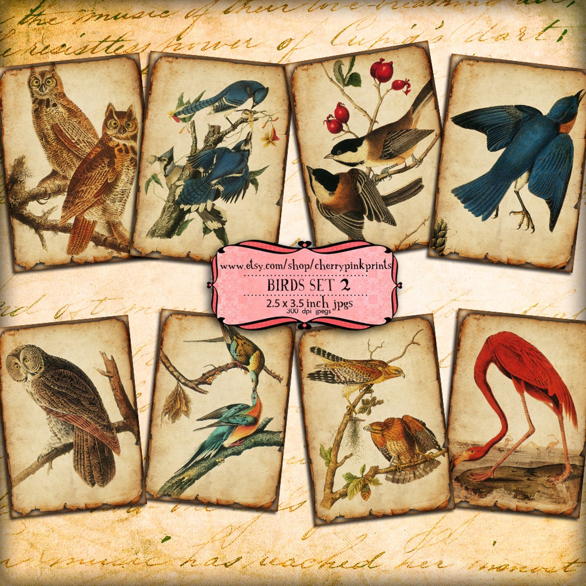SHABBY BIRD Collage Sheet, Shabby Chic Printable - Etsy