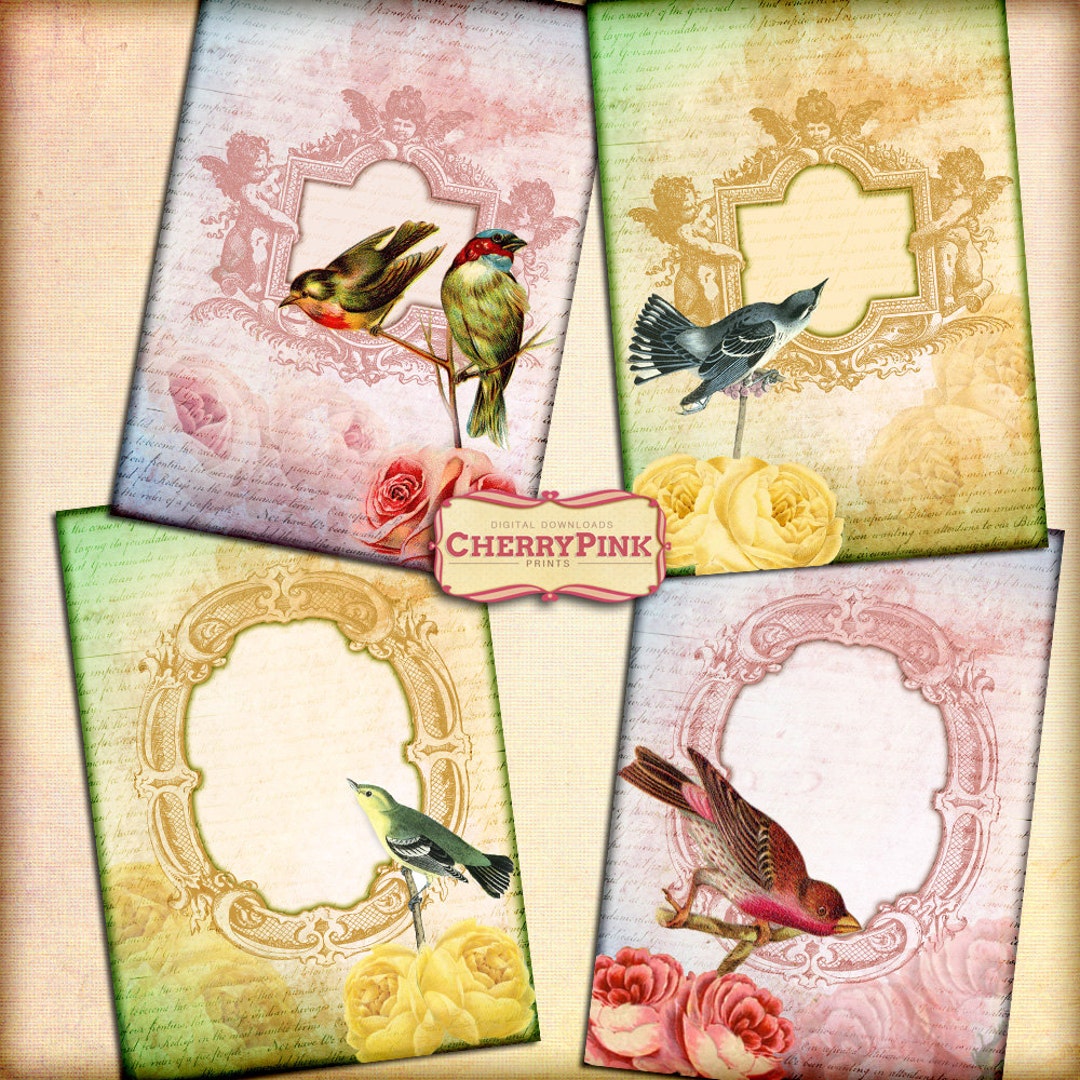 BIRDS COLLAGE SHEET, Vintage Bird Images, Jpg Premade Page, Bird ...