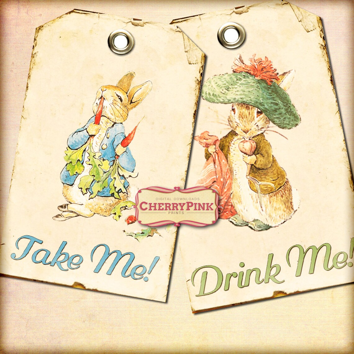 Peter Rabbit Tags Printable Decorations DIY Gift Tags - Etsy