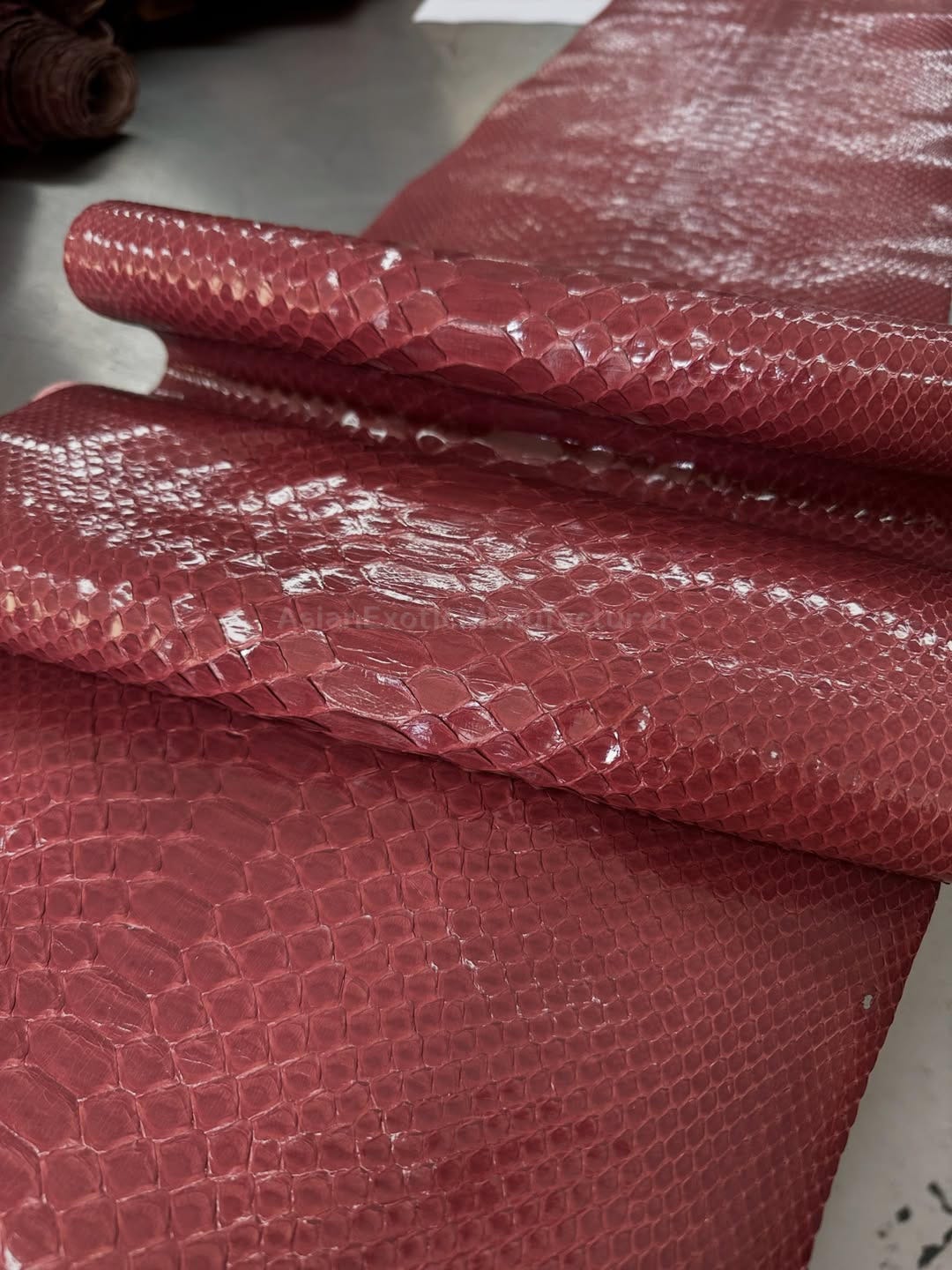 Python Reticulated Belly Skin | Light Pink Glossy Genuine Python ...