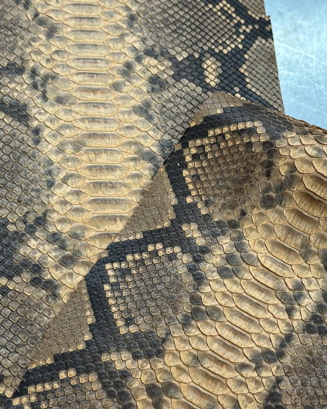Python Reticulated Belly Skin | Tan Brown Matte Genuine Python Leather ...