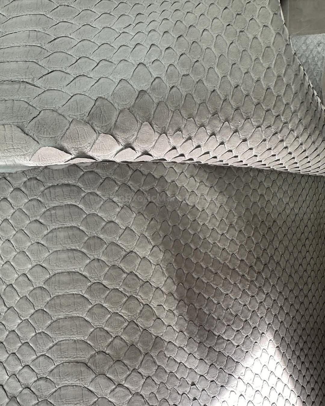 Python Reticulated Belly Skin | Broken White Matte Genuine Python ...