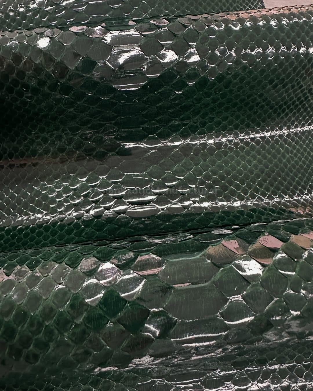 Python Reticulated Belly Skin | Dark Green Glossy Genuine Python ...