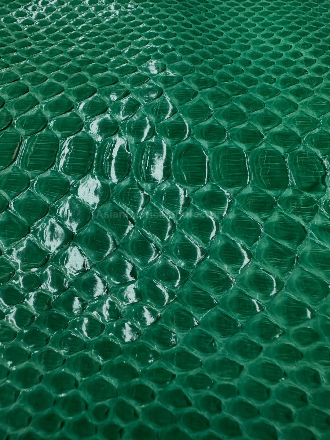 Python Reticulated Belly Skin | Light Green Genuine Python Leather for ...