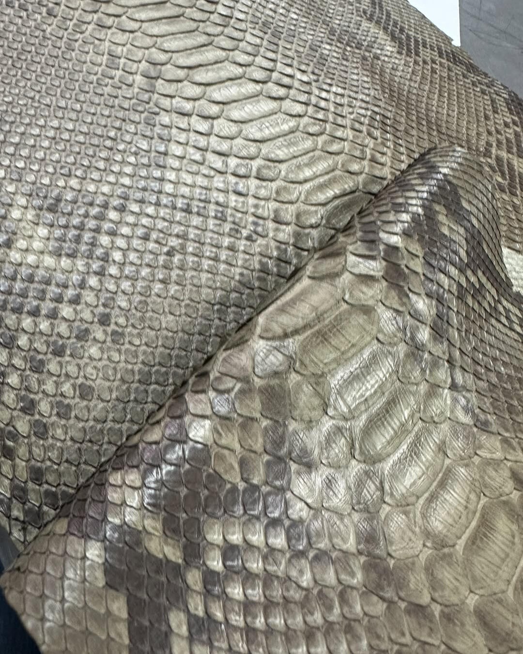 Python Reticulated Belly Skin | Natural Moss Green Genuine Python ...