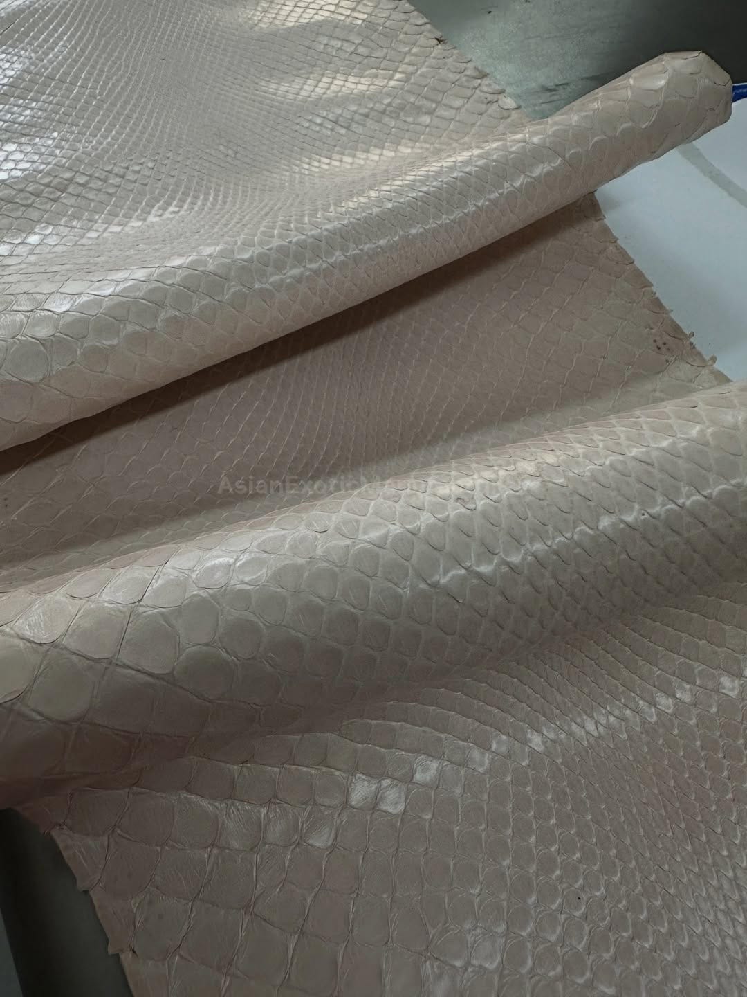 Python Reticulated Back Skin | Beige Semi Glazed Genuine Python Leather ...
