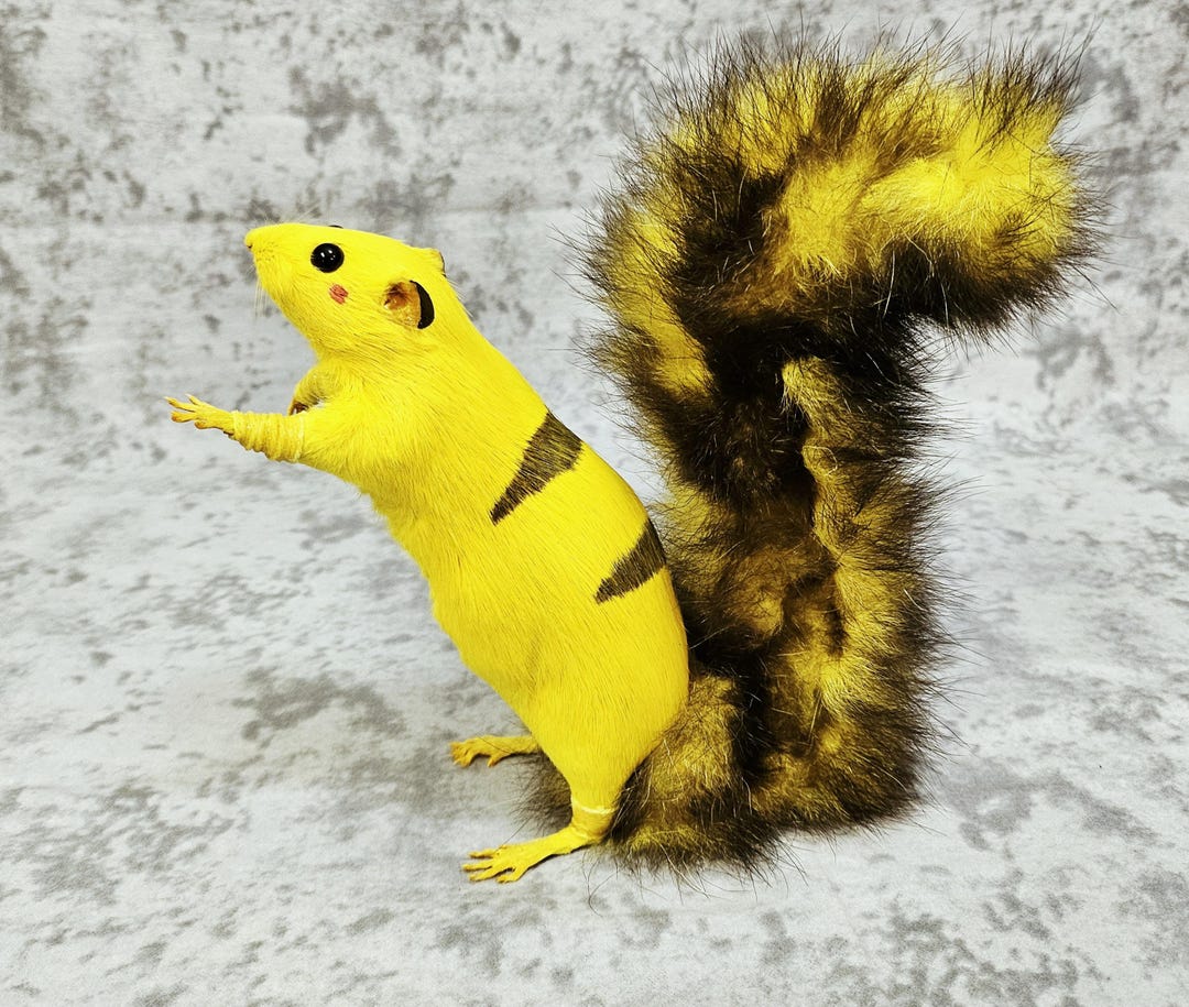 Pokemon: Pikachu Rat Taxidermy Squirrel - Etsy