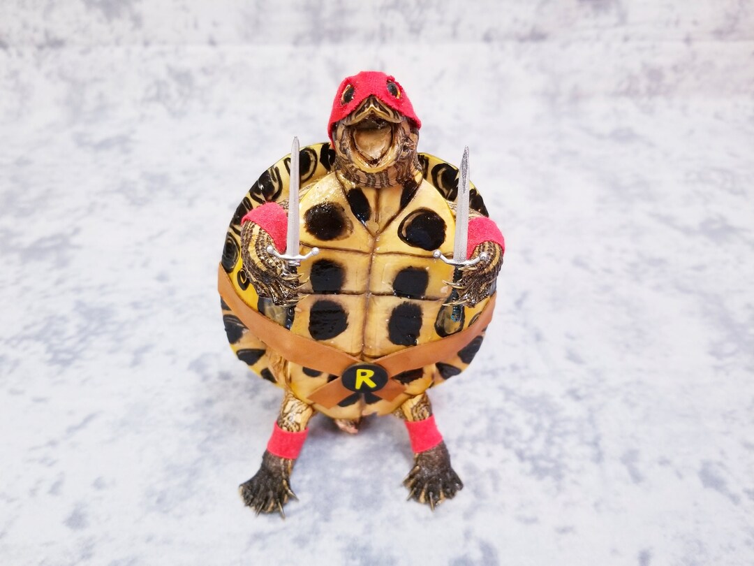 Full Body Turtle Taxidermy Teenage Mutant Ninja Turtles - Etsy