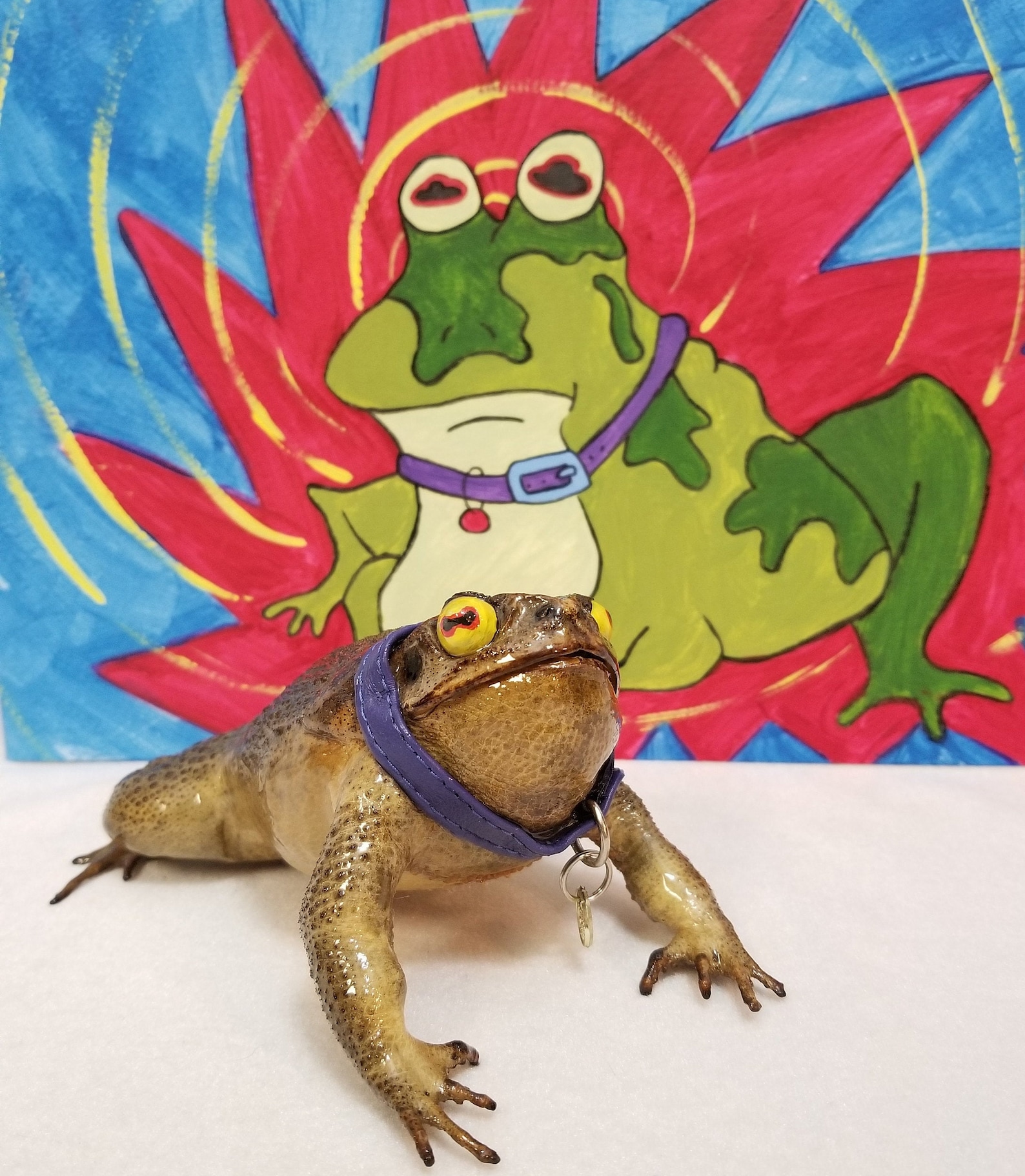 Taxidermy Toad Futurama HypnoToad | Etsy