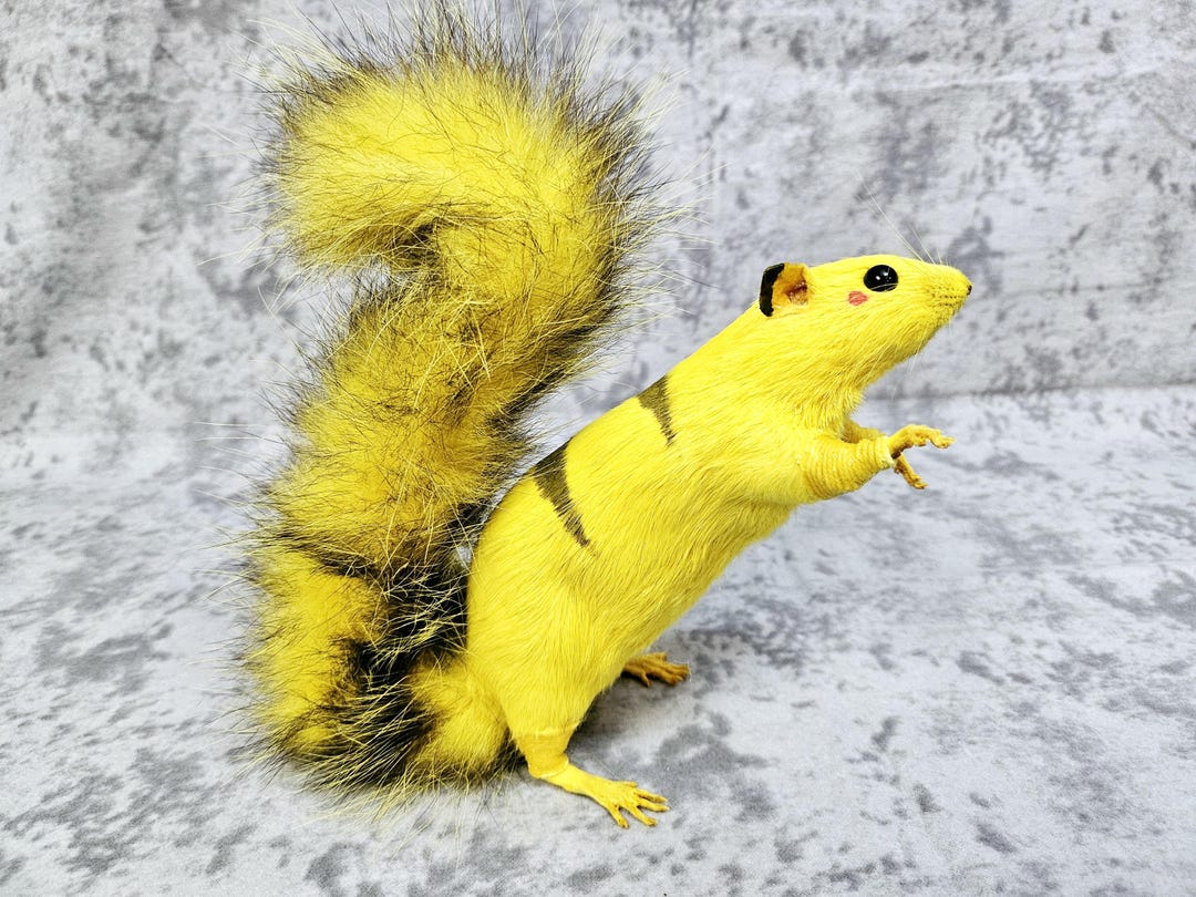 Pokemon: Pikachu Rat Taxidermy Squirrel - Etsy