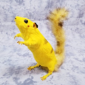 Pokemon: Pikachu Rat Taxidermy Squirrel - Etsy