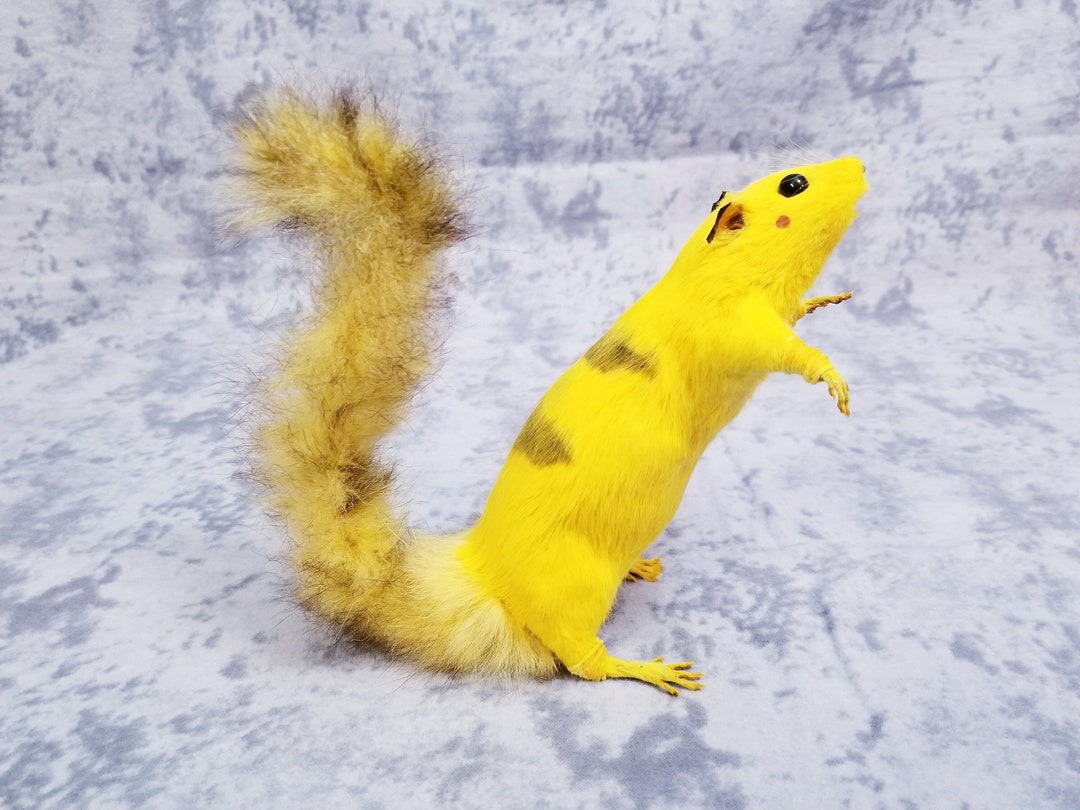 Pokemon: Pikachu Rat Taxidermy Squirrel - Etsy