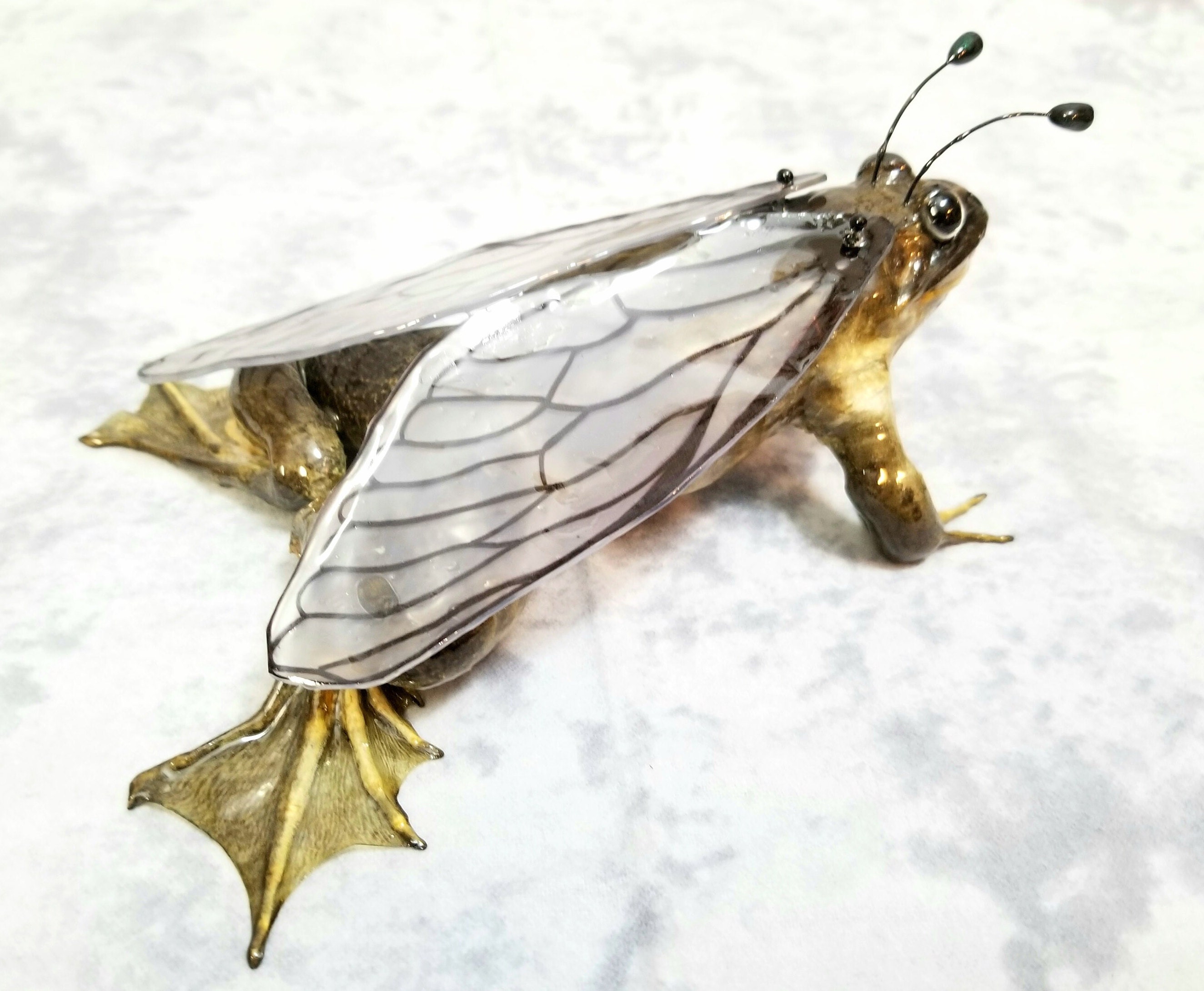 Bullfrog Taxidermy Cicada Insect Frog Oddities Reptile Cane | Etsy
