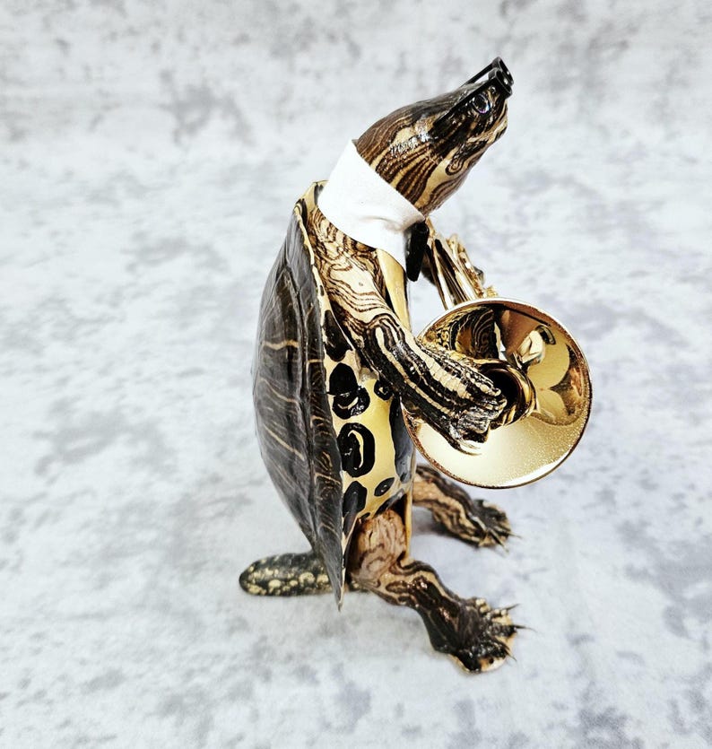Full Body Turtle Taxidermy- French Horn-playing Tortoise Mariachi Toad ...