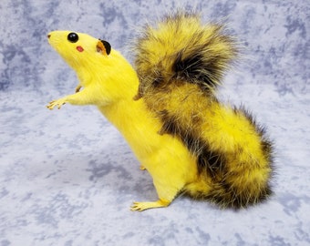 Taxidermy Rat | Etsy