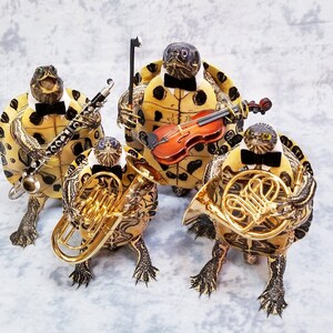 Full Body Turtle Taxidermy- French Horn-playing Tortoise Mariachi Toad ...