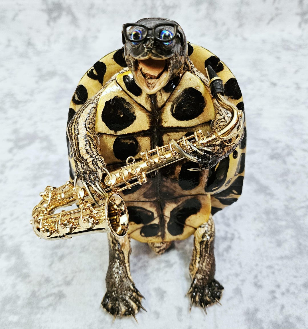 Real Turtle Taxidermy- Saxophone-playing Tortoise Mariachi Toad Lizard ...
