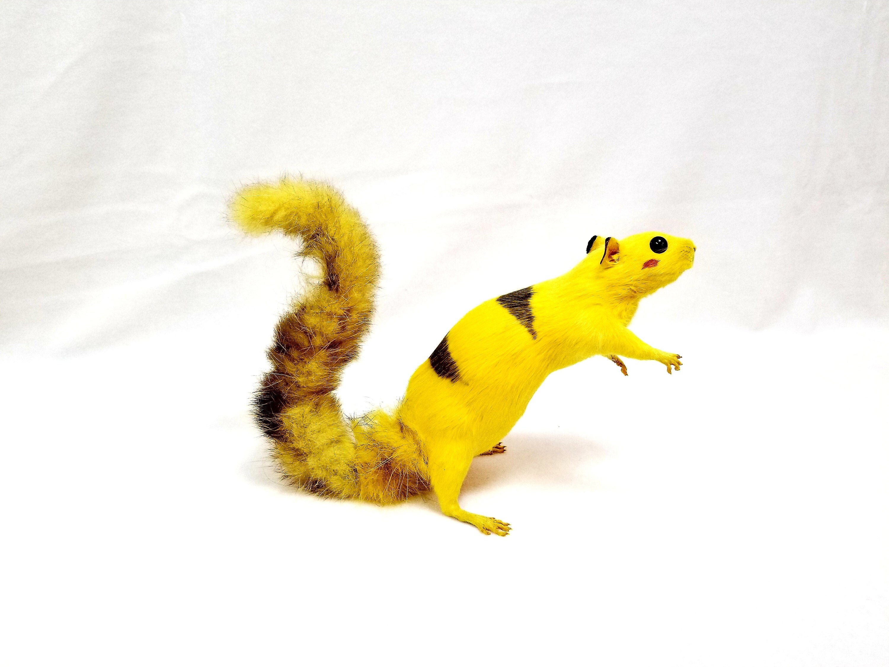 Pokemon: Pikachu Rat Taxidermy squirrel | Etsy