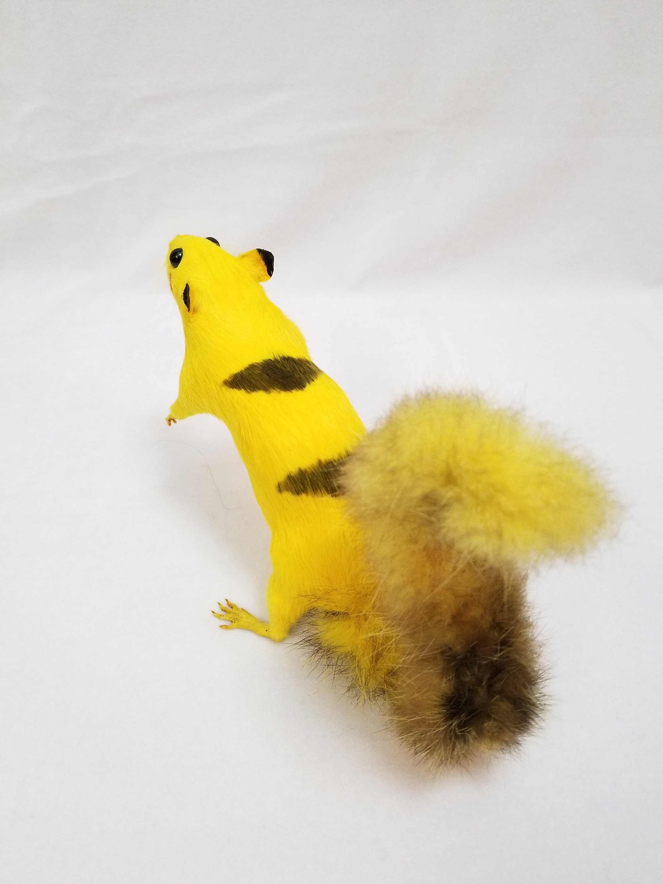 Pokemon: Pikachu Rat Taxidermy squirrel | Etsy