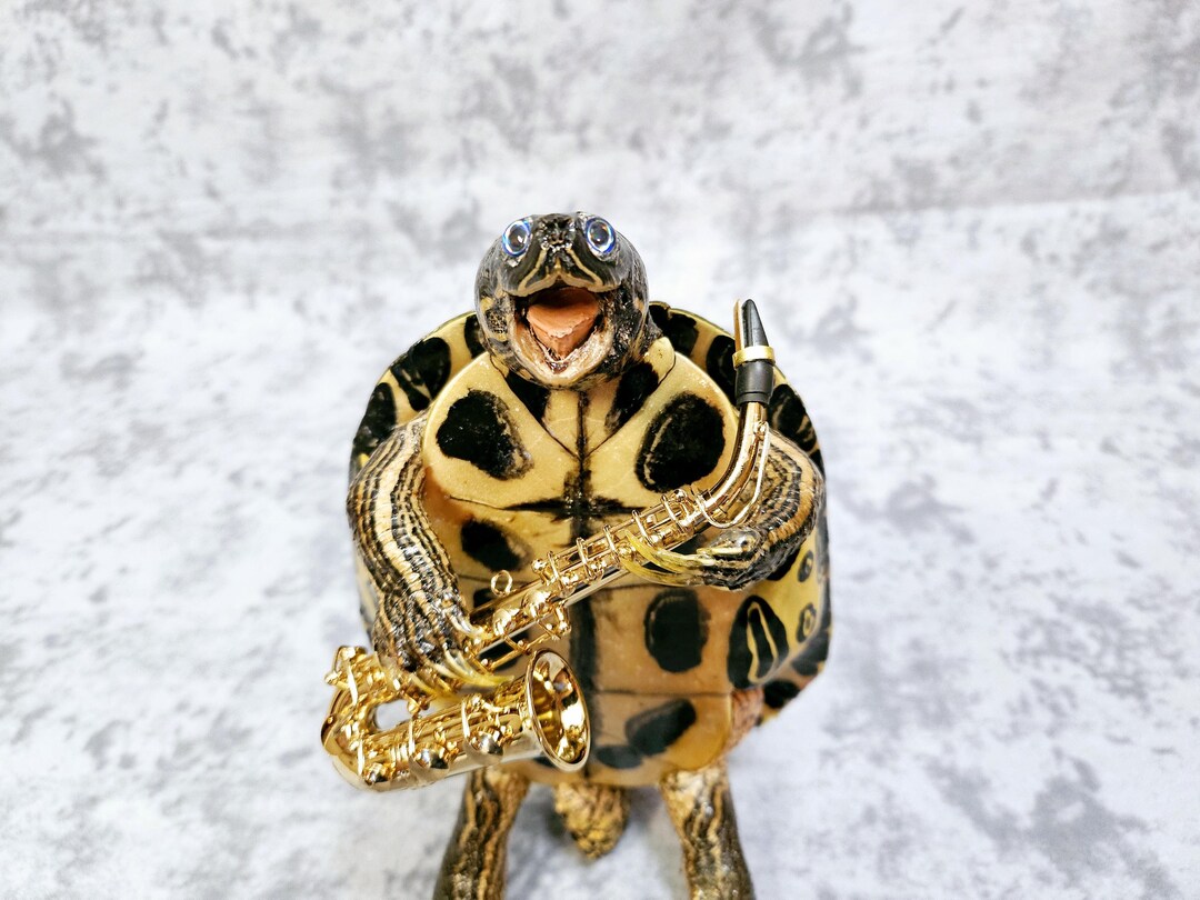 Real Turtle Taxidermy- Saxophone-playing Tortoise Mariachi Toad Lizard ...