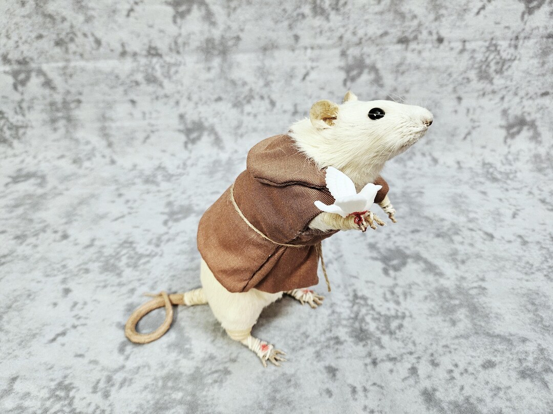 Rat Taxidermy Oddities St. Francis of Assisi - Etsy