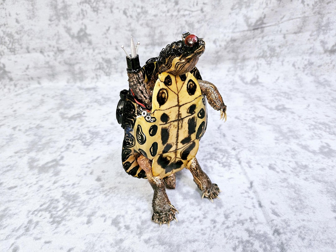 Star Trek Borg Turtle Taxidermy Rogue Oddity Frog Toad Lizard Red-eared ...