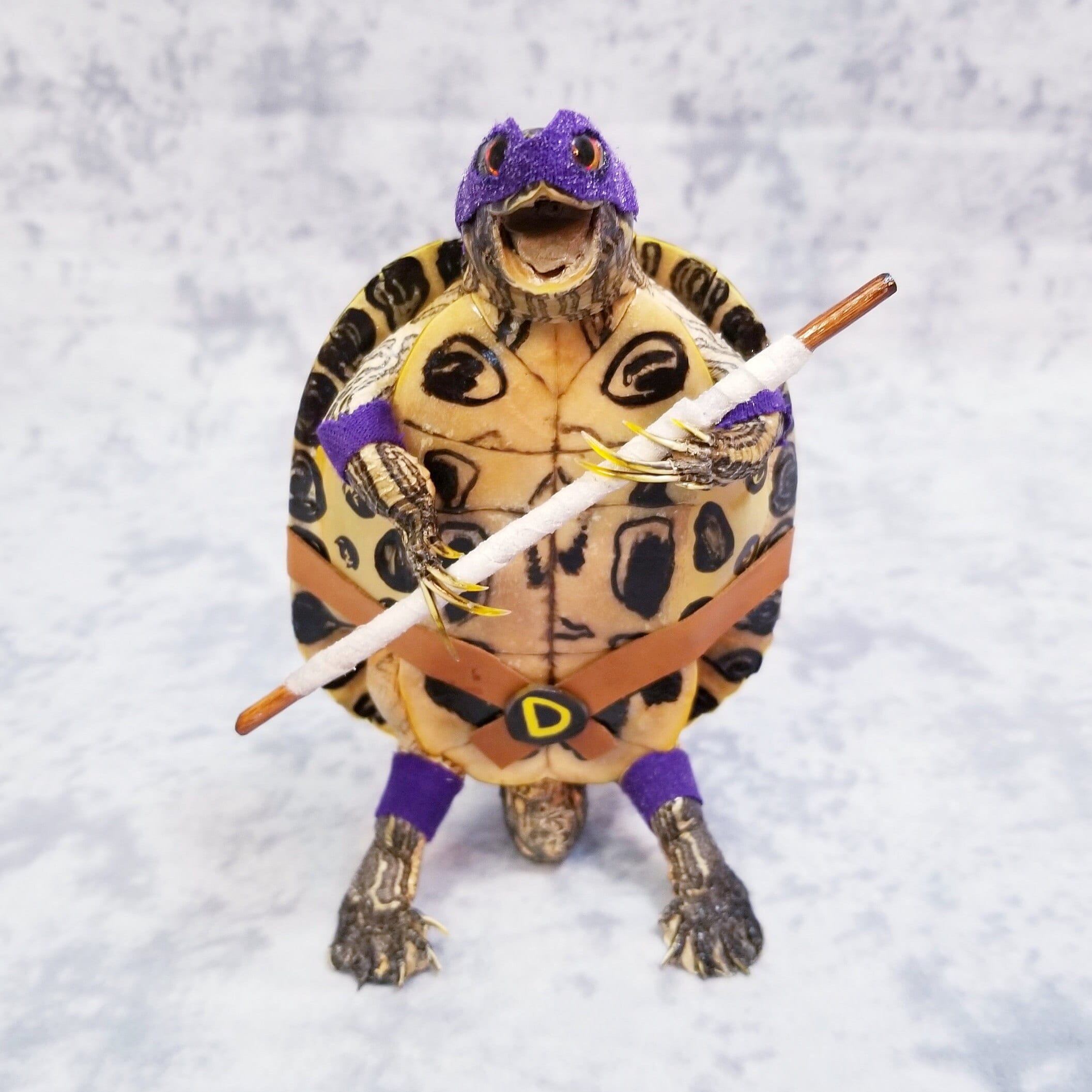 Tmnt 2022 Donatello Glasses