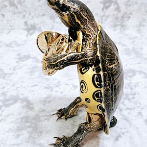 Full Body Turtle Taxidermy French Horn-playing Tortoise Mariachi Toad ...