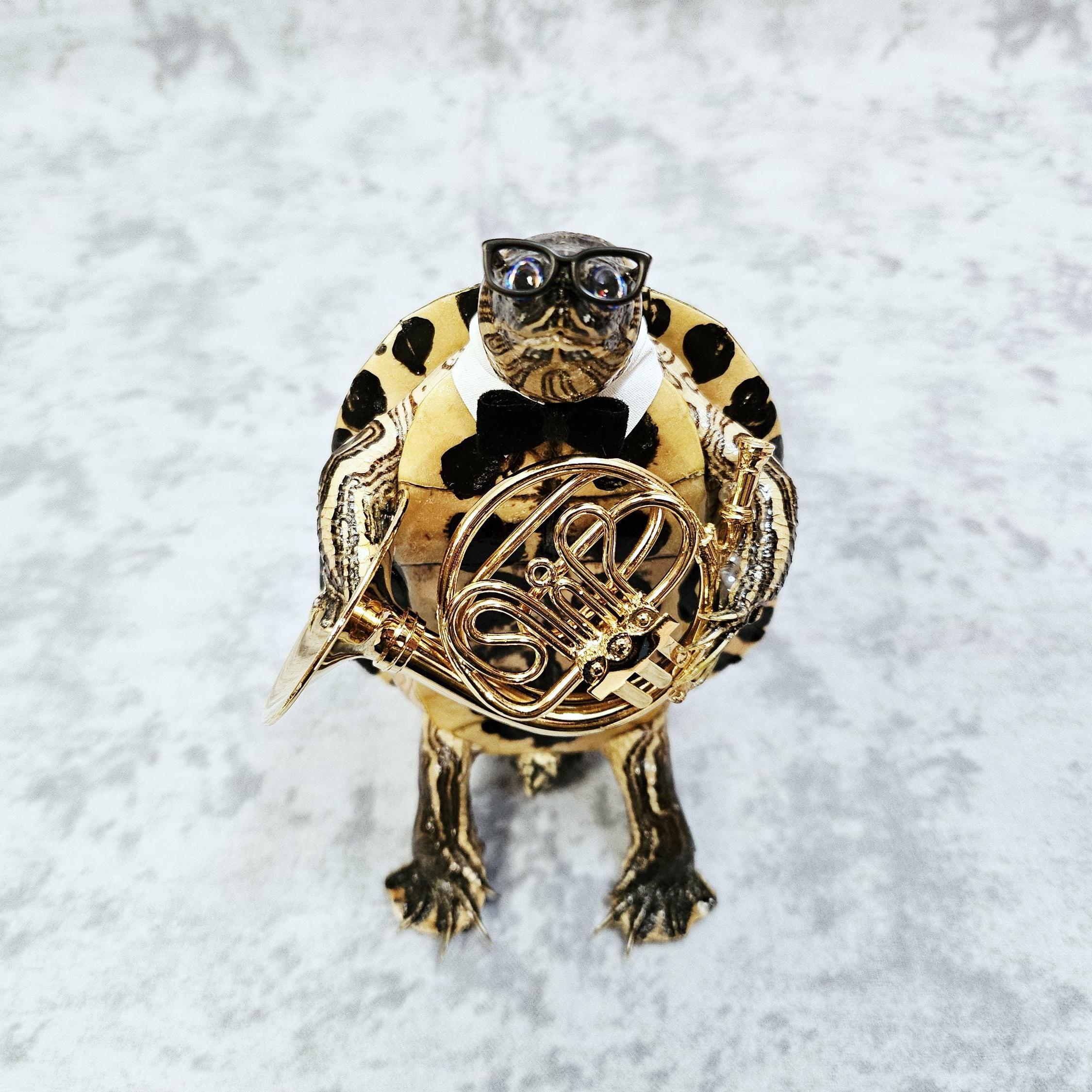 Full Body Turtle Taxidermy- French Horn-playing Tortoise Mariachi Toad ...