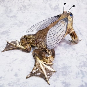 Bullfrog Taxidermy Cicada Insect Frog Oddities Reptile Cane - Etsy