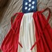 Civil War Secession Apron - Etsy