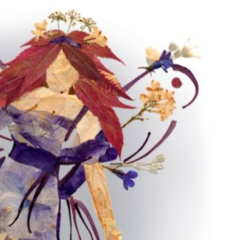 Flower Fairy Picture REAL Pressed Flower Fairies Wings Faery Tale ...