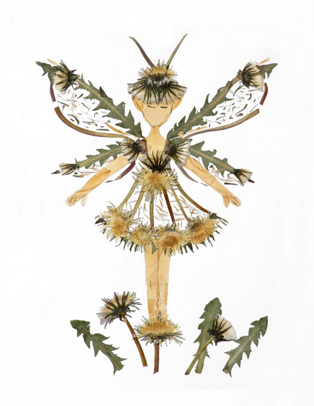 Fairy Flower *dandelion Faery* Pressed Flowers 8x10 PRINT Magical ...