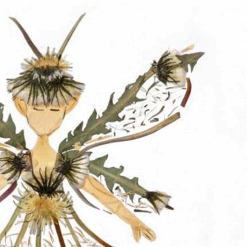 Fairy Flower dandelion Faery Pressed Flowers 8x10 PRINT Magical Fantasy ...