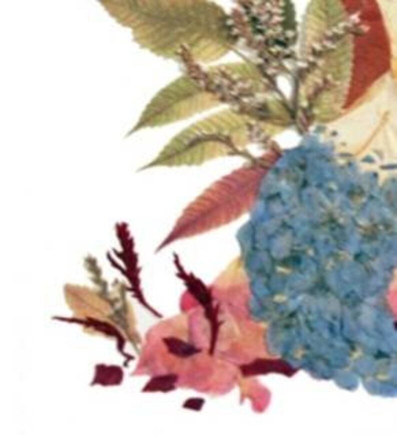 Mermaid Flower Fairy 8x10 Giclee PRINT mystic Mermaid Original Pressed ...