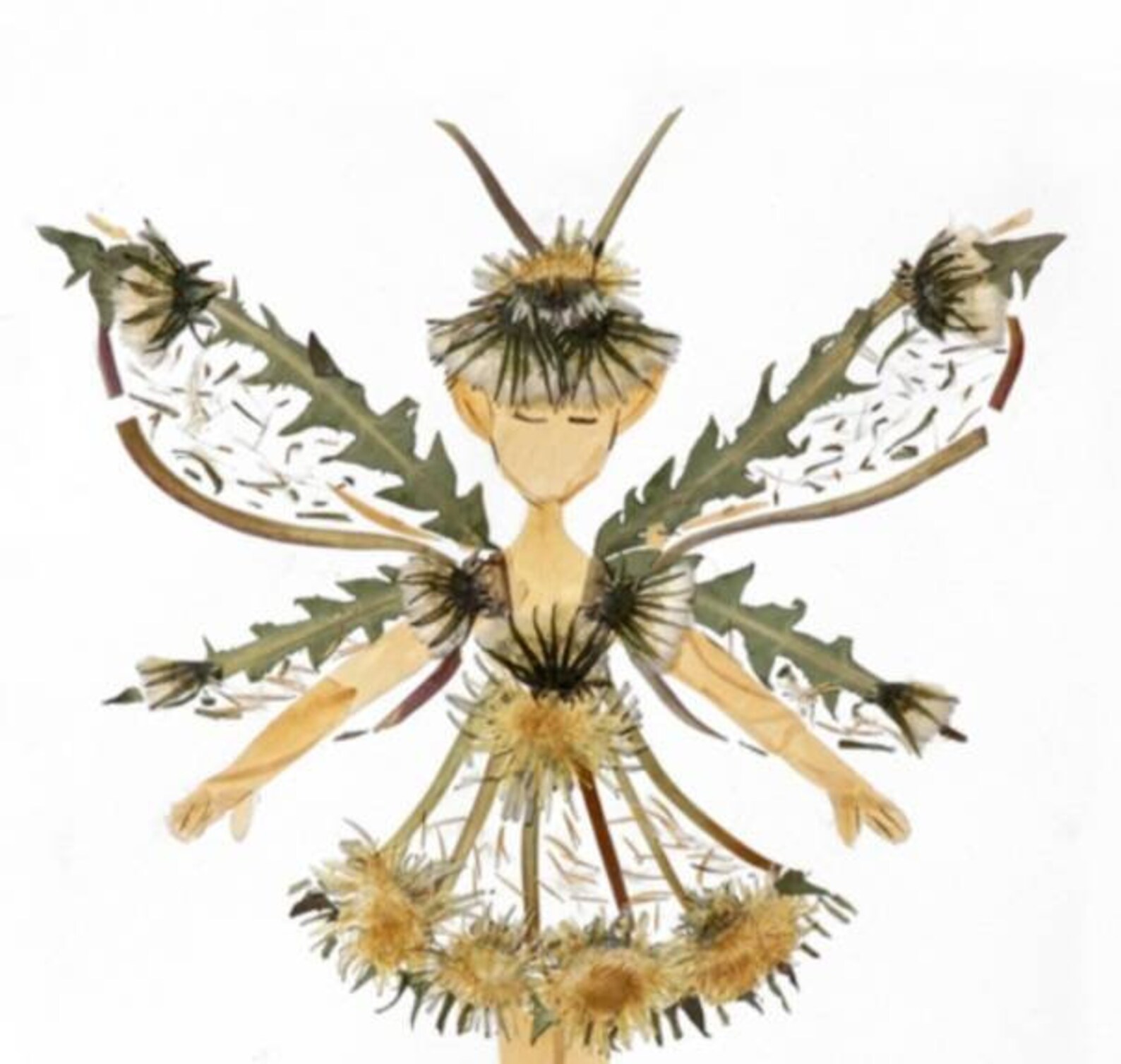 Fairy Flower *dandelion Faery* Pressed Flowers 8x10 PRINT Magical ...