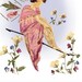 Magical *fairy of Mercy* Flower Art PRINT 8x10 Original Design ...